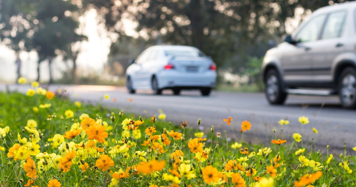 How to get your car ready for spring driving | LowestRates.ca
